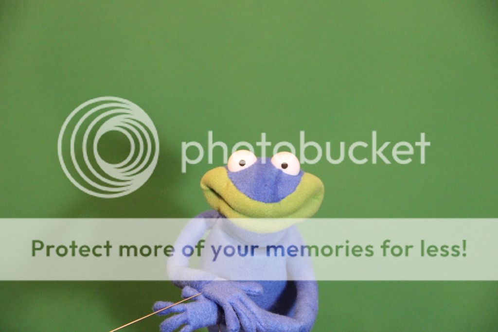 The Lizard Brothers | Muppet Central Forum