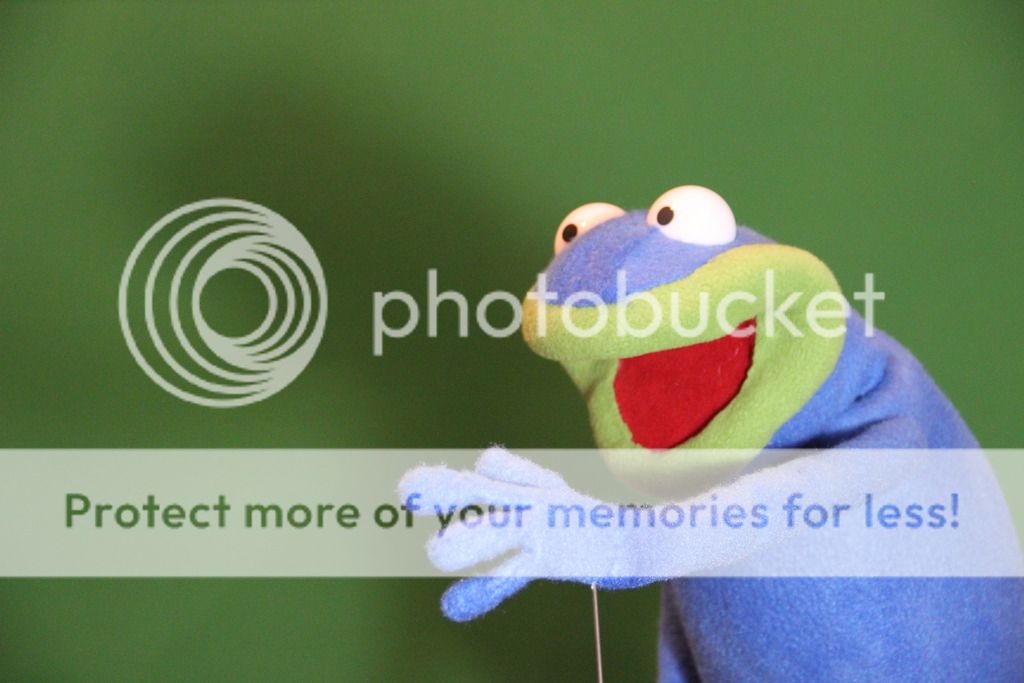 The Lizard Brothers | Muppet Central Forum