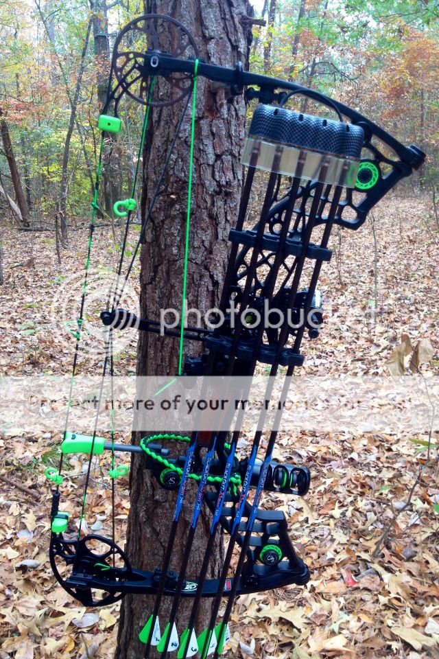 Bow pics | Archery Talk Forum