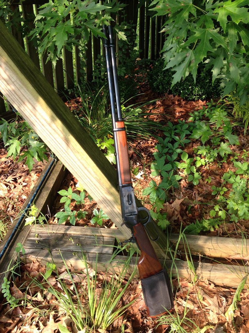 Got invited to go pig hunting...need ideas for a budget rifle for it ...