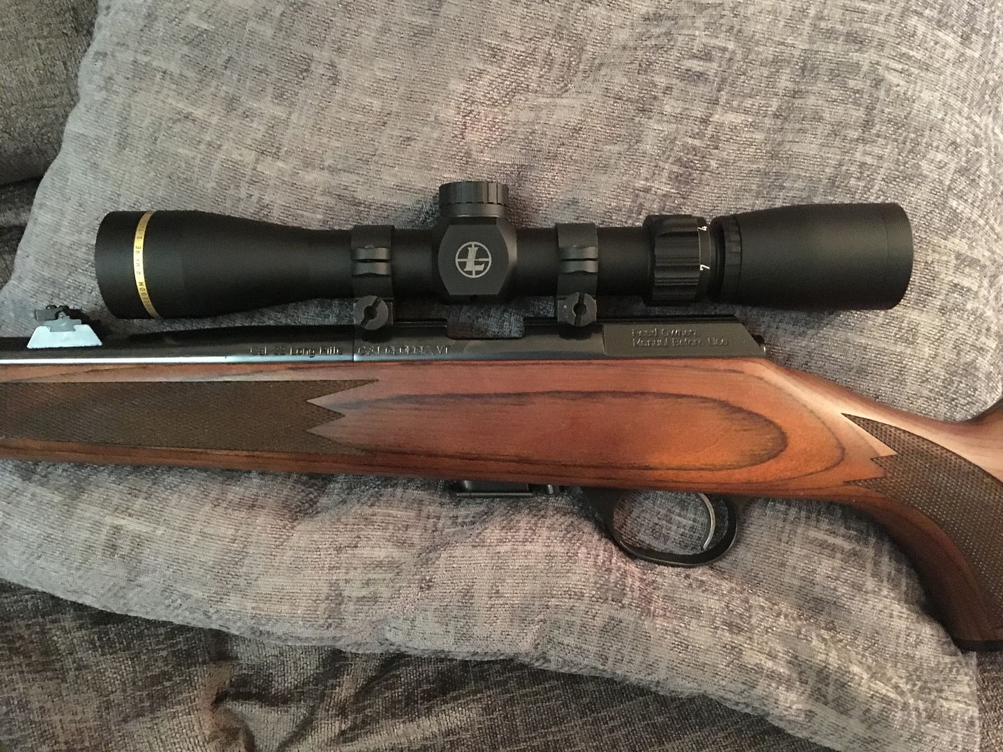 CZ 99 Precison / Remington Model 5 > 10/22 & 22 Caliber Rifles > AR15.COM