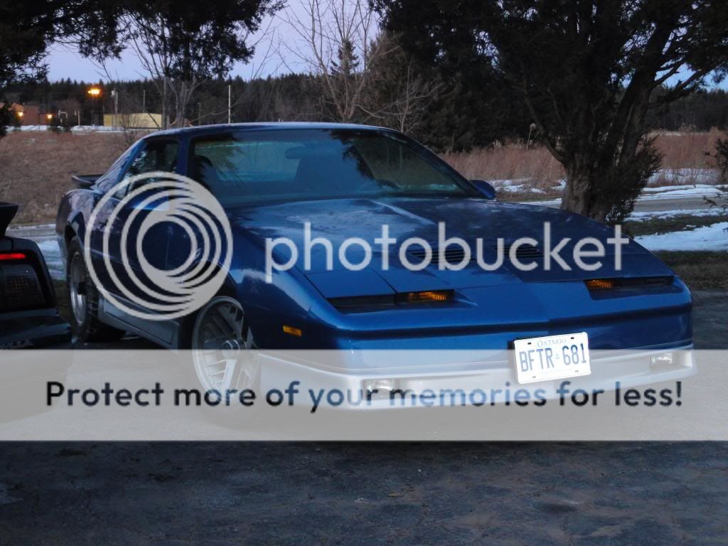 my 81 trans am 85 trans am 89 formula 350 and 91 trans am | Firebird Nation